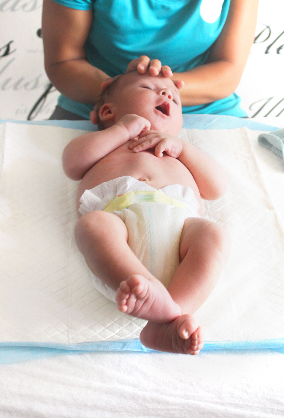 Rosa Rojano | Valle 36